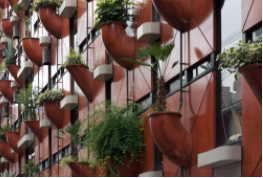 Gaetano Pesce - iDesignWiki